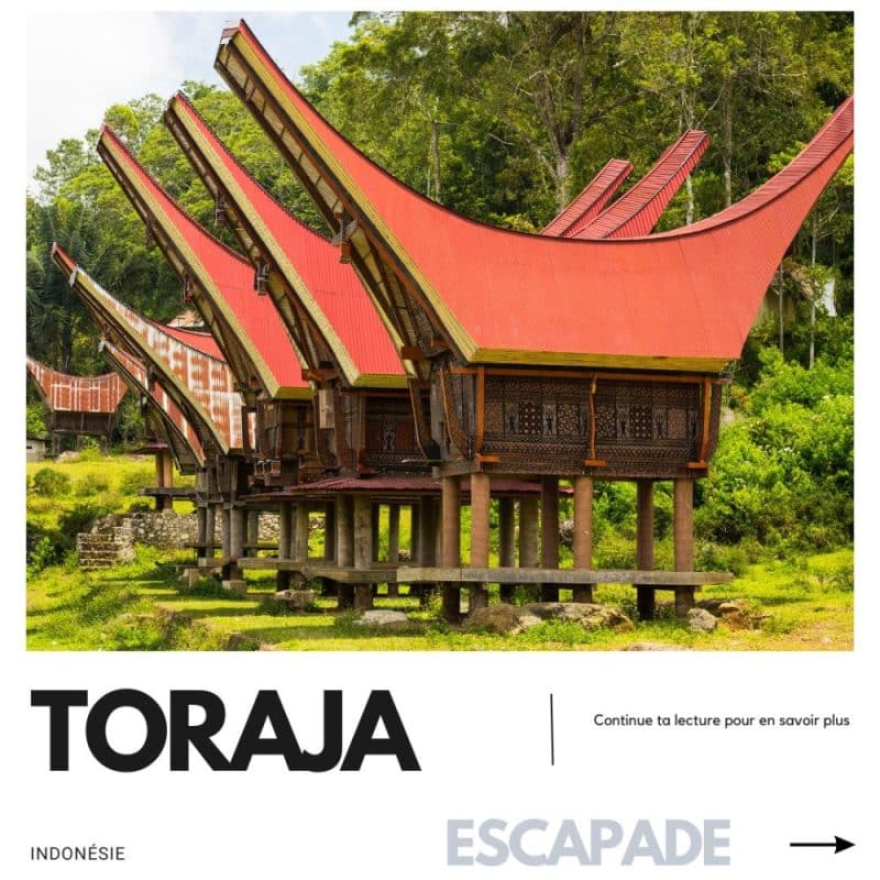 Pays Toraja en Solo : Traditions et Cérémonies | Sulawesi 999 Vies